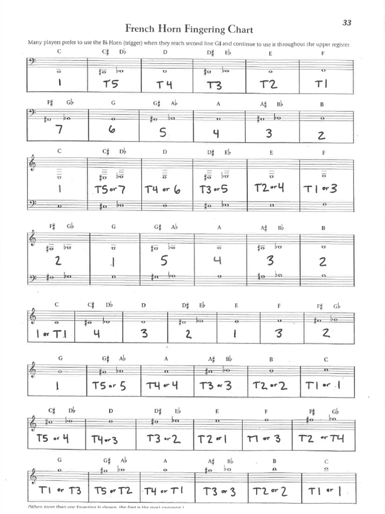 Position Chart - French Horn | PDF