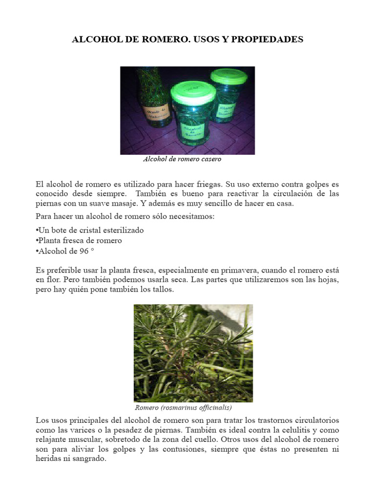 Alcohol de Romero: Usos y Preparación | PDF | Romero