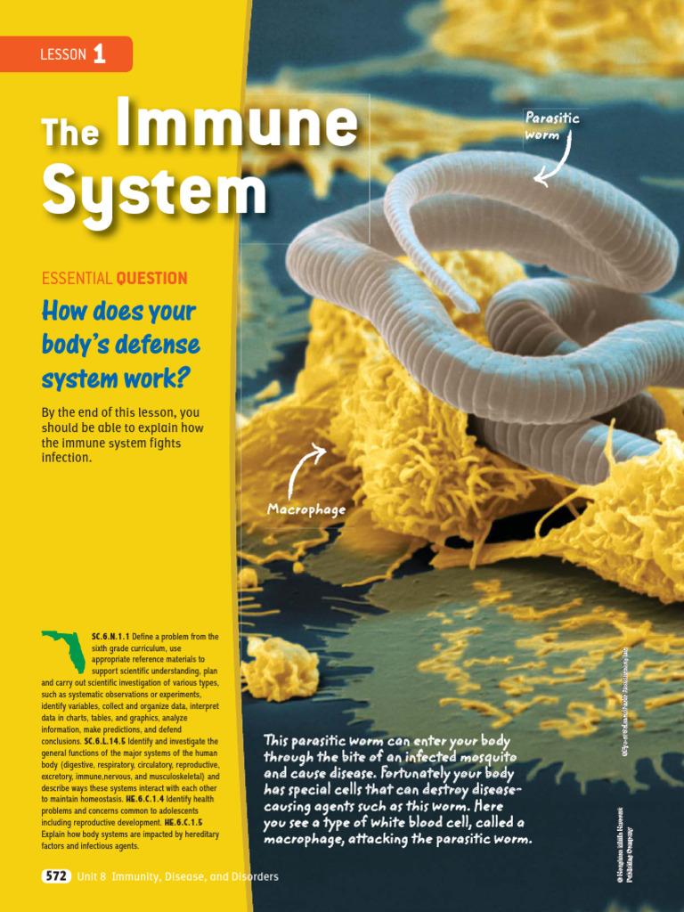 Immune System | PDF | Immune System | Antigen