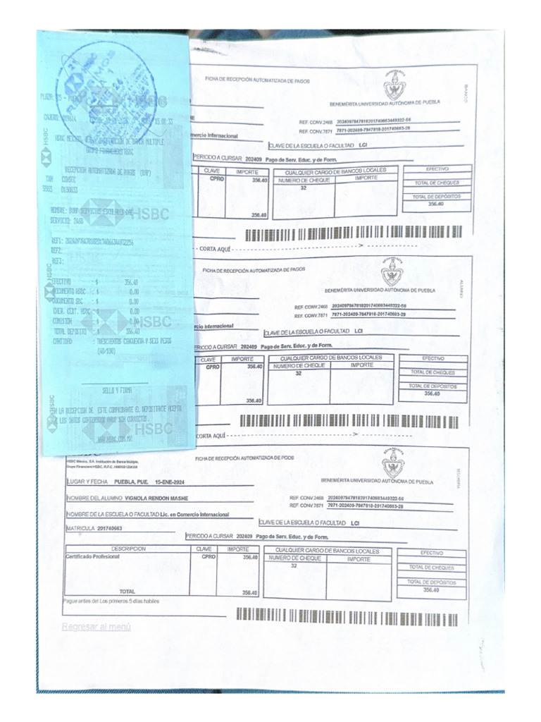 Ficha de Recepción Automatizada de Pagos 2 | PDF