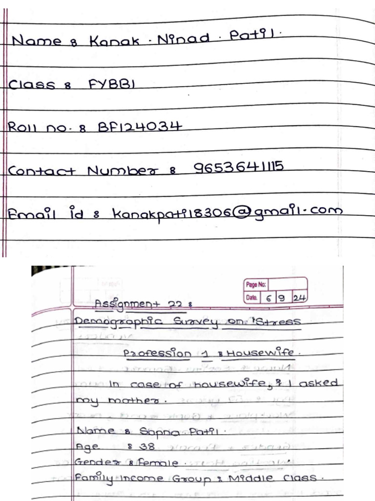 Bf124034 Fybbi Submission 3 Kanak Patil | PDF
