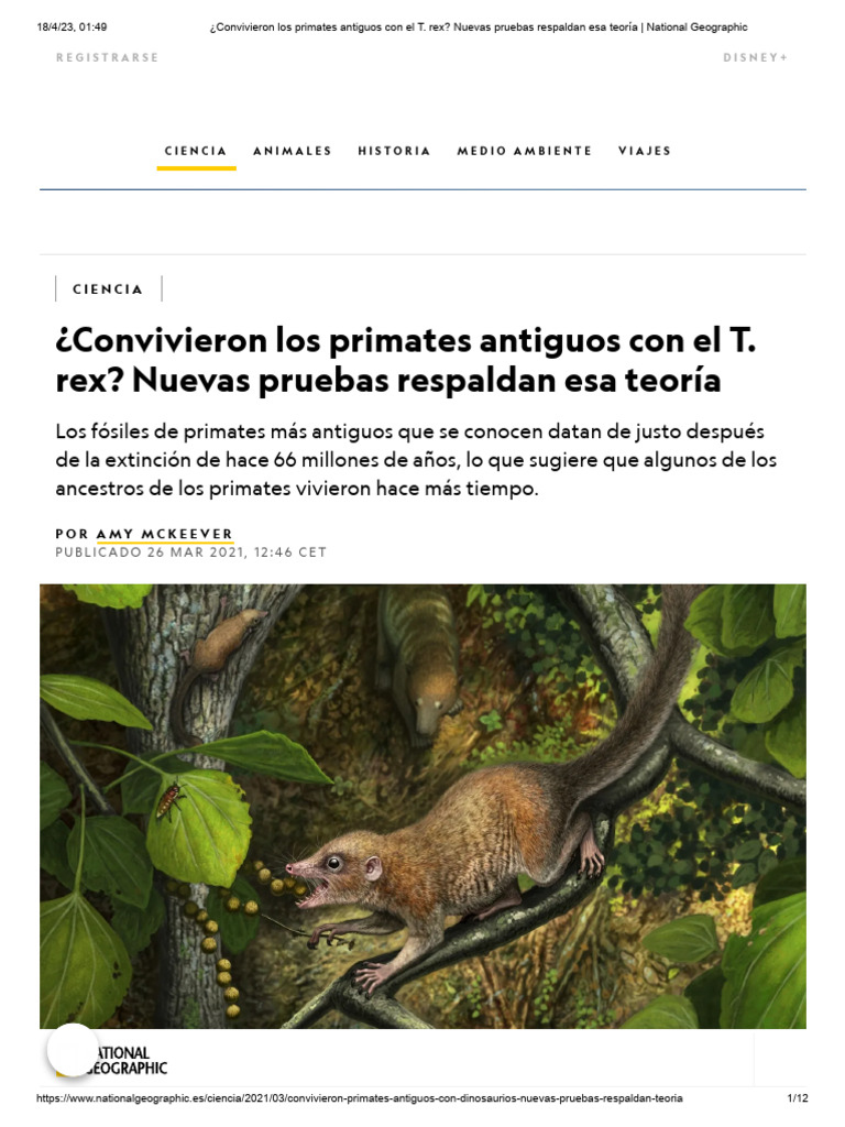 ¿Convivieron Los Primates Antiguos Con El T. Rex - Nuevas Pruebas ...