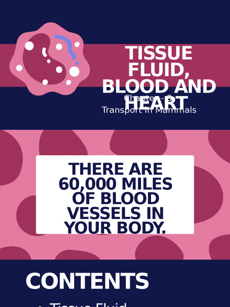 Mammalian Blood and Heart Transport System | PDF | Heart Valve ...