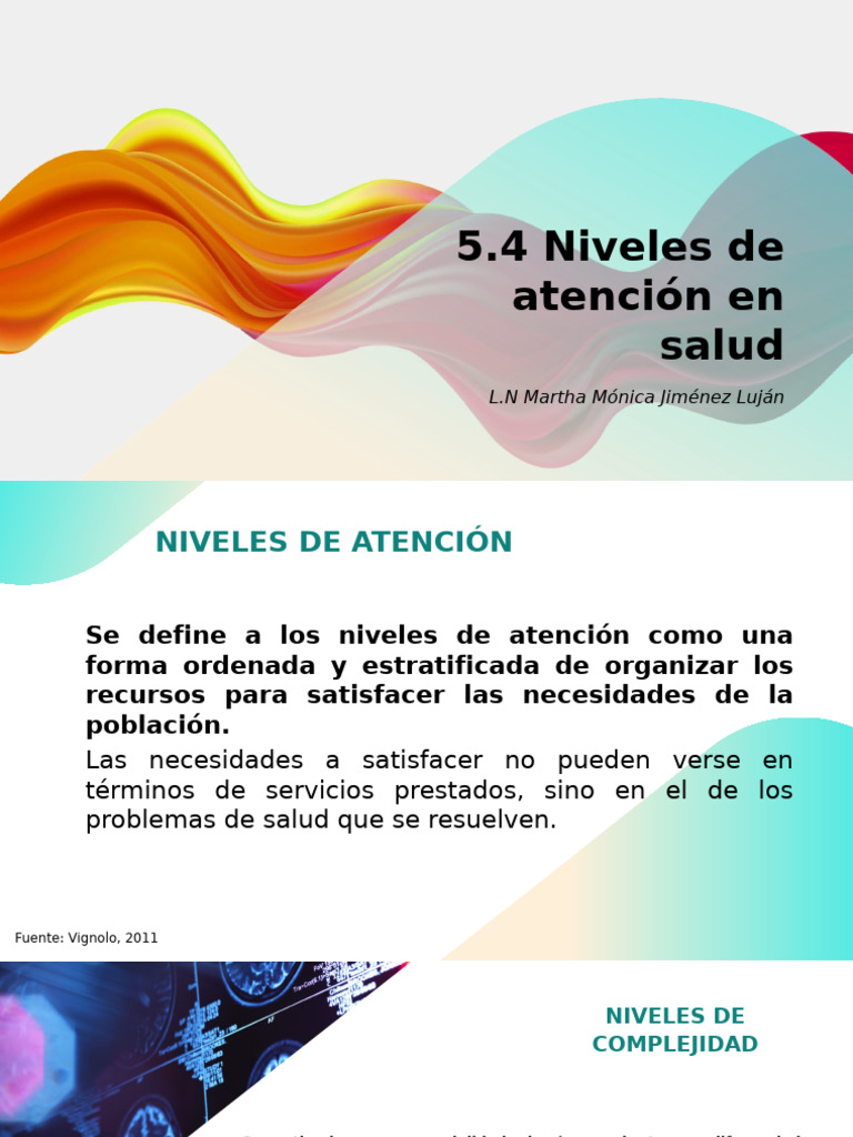 Niveles de Atn | PDF | Hospital | Medicina