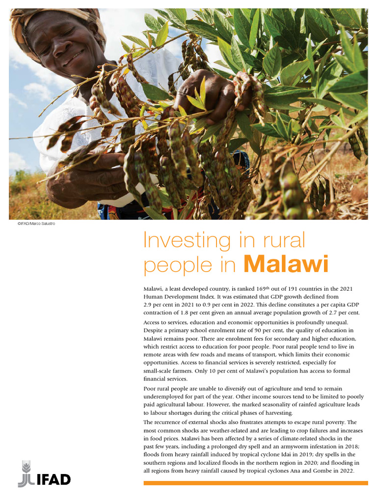 Empowering Malawi's Rural Communities | PDF | Agriculture | Food Security