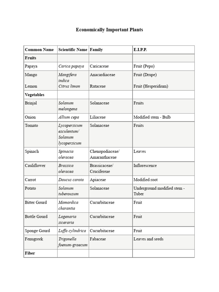 Economically Important Plants | PDF | Plant Stem | Plants