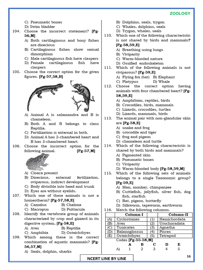 NCERT Zoology Q&A Guide | PDF | Reptile | Fish