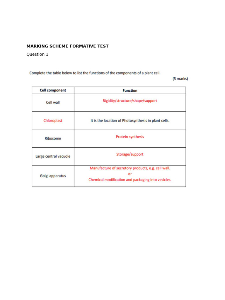 Marking Scheme DP 1 Formative | PDF