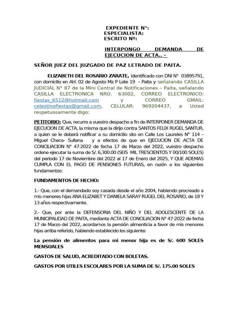 Demanda de Elizabeth Del Rosario | PDF | Ética legal | Justicia