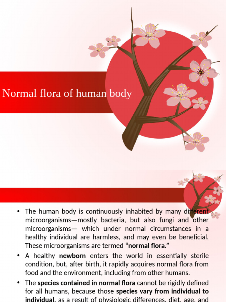 4-Normal Flora of Human Body | PDF | Staphylococcus | Lactobacillus