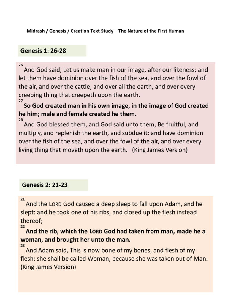 Midrash Genesis Creation Story - Nature First Human | PDF | Adam ...