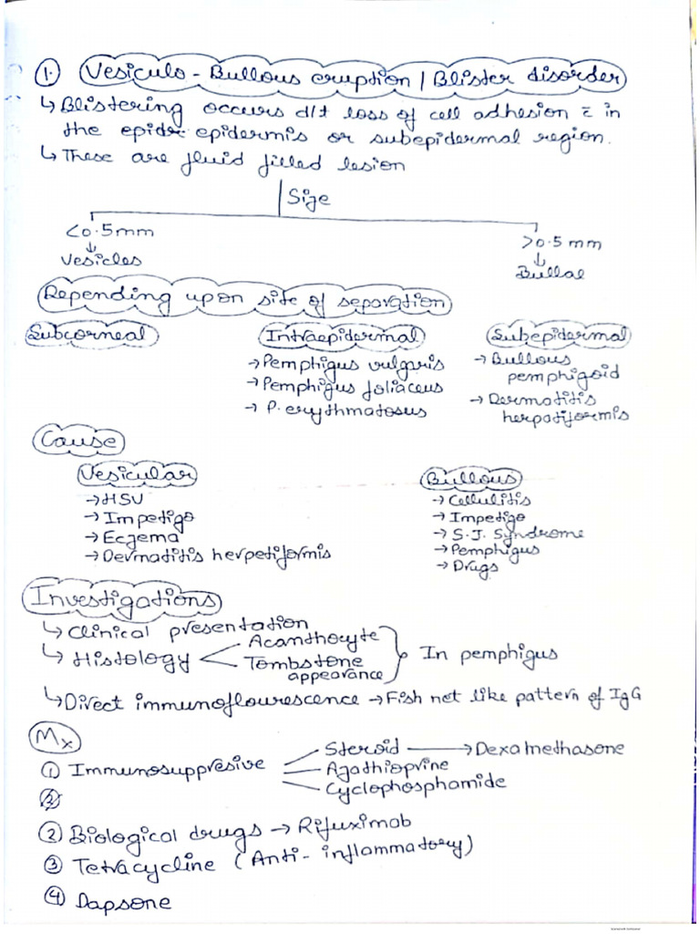 Dermatology Notes | PDF