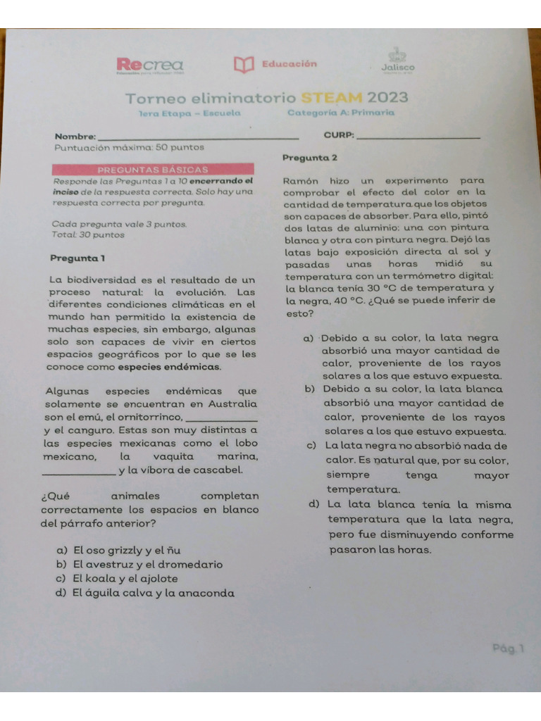 STEAM | PDF