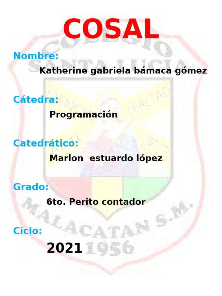 COSAL de Katherine Bámaca Gómez | PDF