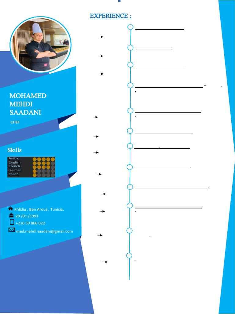 CV Mohamed Mahdi Saadani | PDF | Restaurants | Garde Manger
