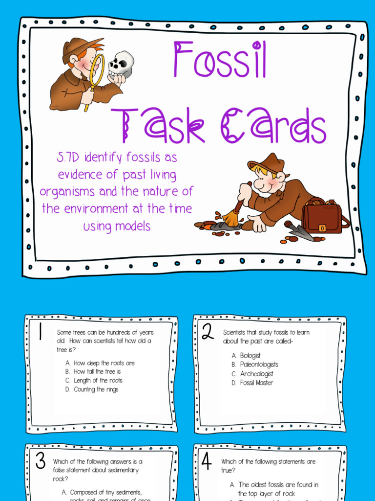 Fossil Identification Task Cards | PDF | Rock (Geology) | Sedimentary Rock
