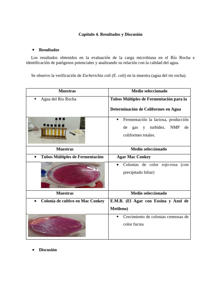 Micro Tema Primera Revision | PDF