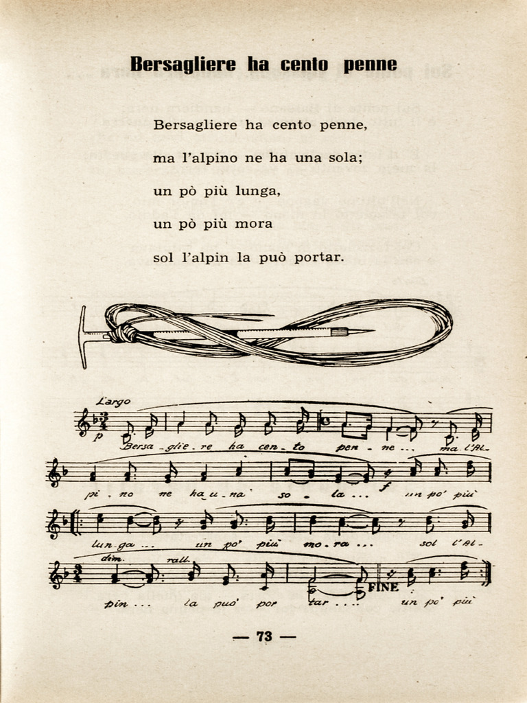 Bersagliere Ha 100 Penne | PDF