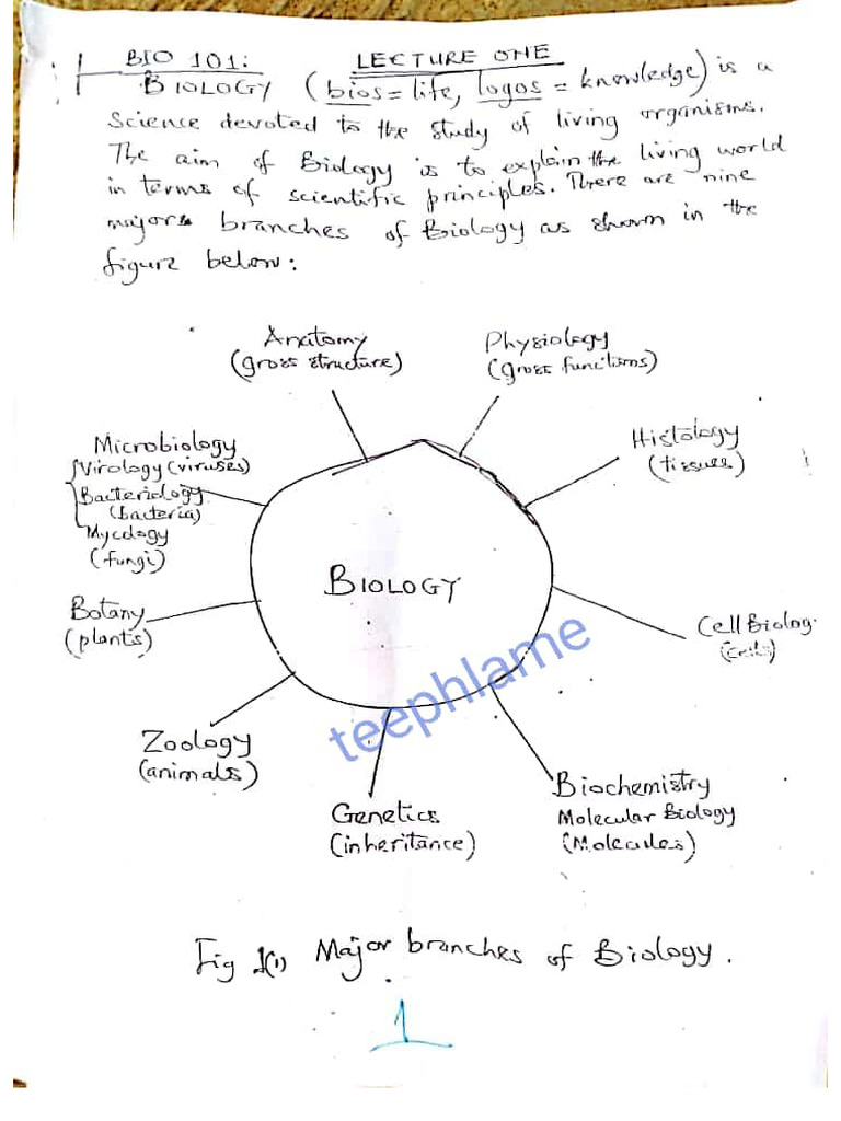 Bio 101 Intro and Cell Organelles. by DAVE | PDF