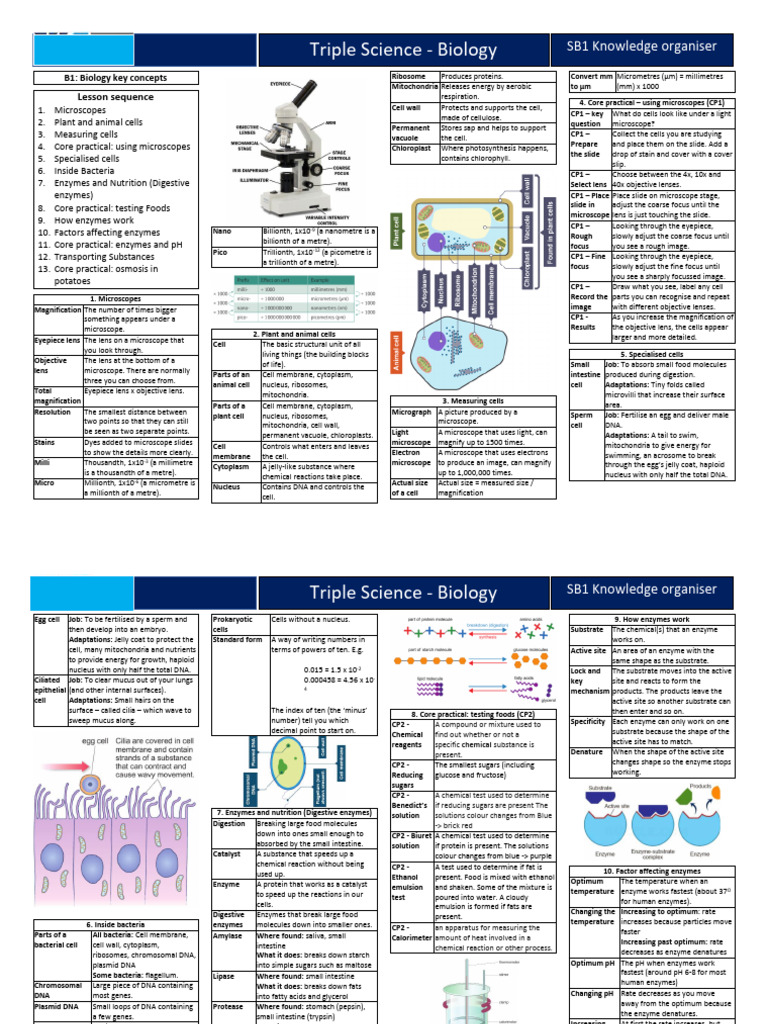 Biology Key Concepts and Practical Guide | PDF | Enzyme | Cell (Biology)