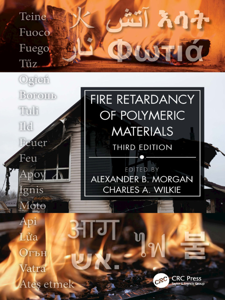 Teil der 3.Edition Fire Retardancy of Polymeric Materials | PDF ...