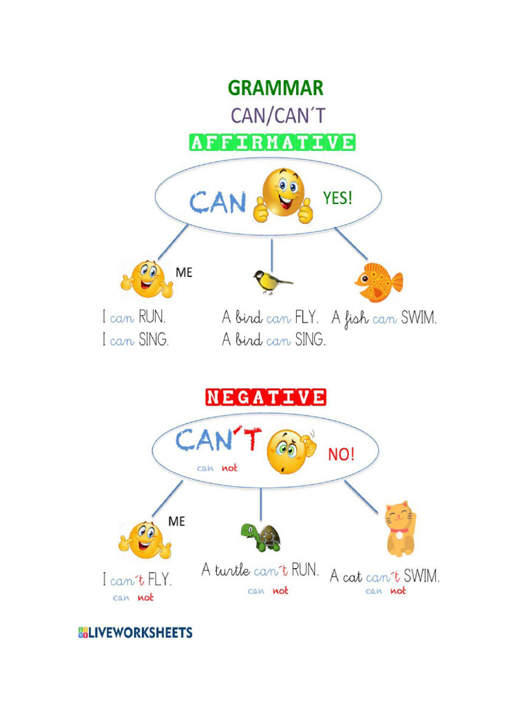 Can Can T Explanation | PDF