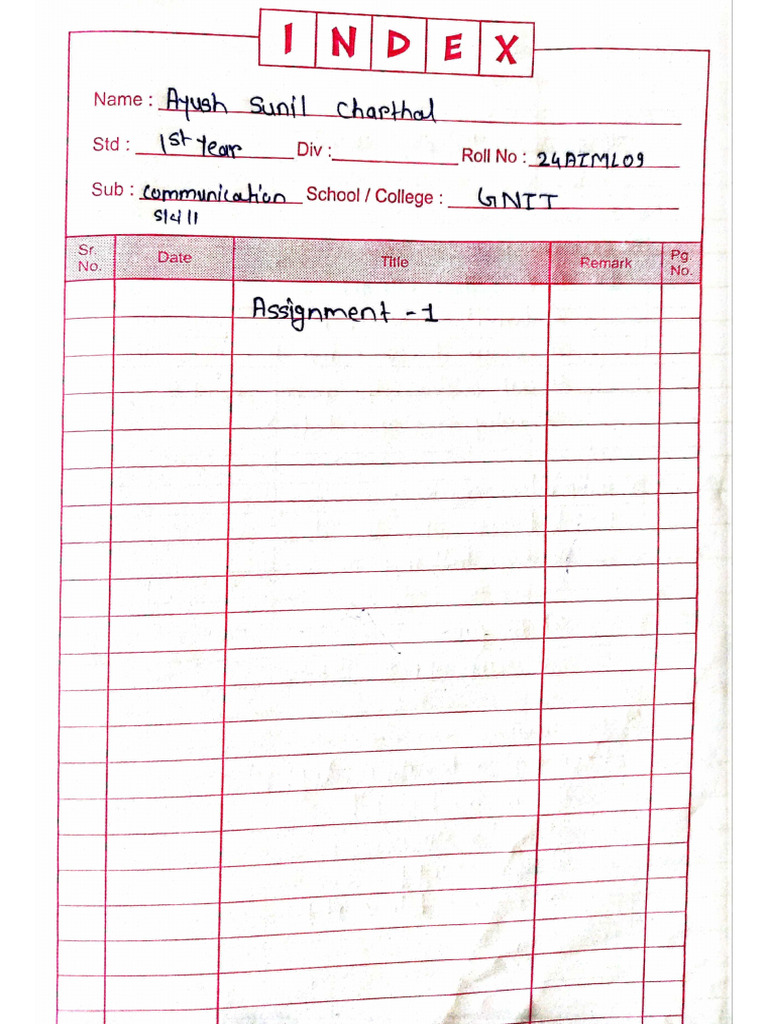 English Assignment 1 | PDF