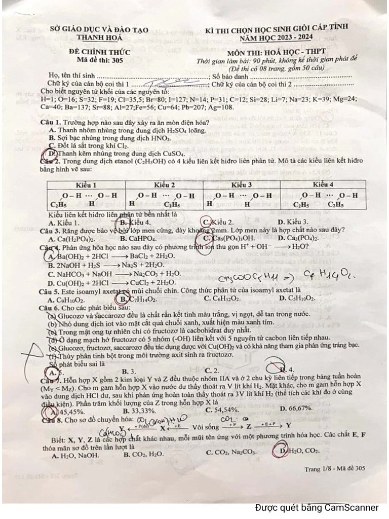 HSG Thanh Hóa | PDF