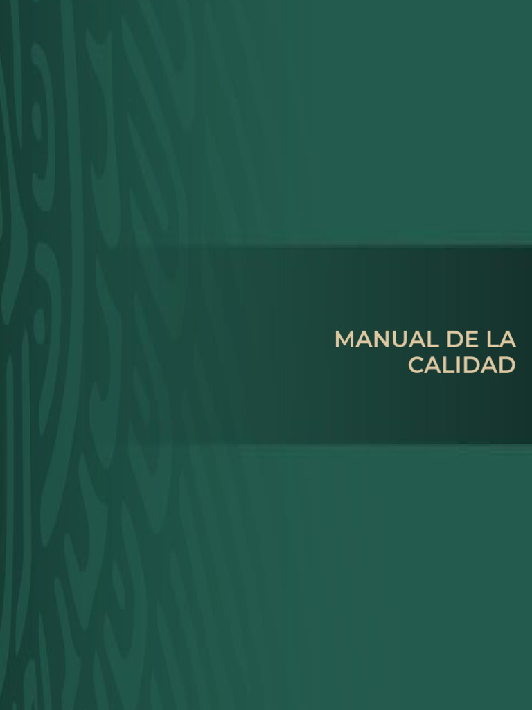 Manual de La Calidad RV11-1 | PDF | Sistema de manejo de calidad | Calidad (comercial)