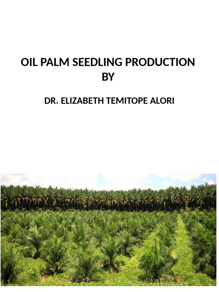 Oil Palm Seedling Production | PDF | Palm Oil | Seed