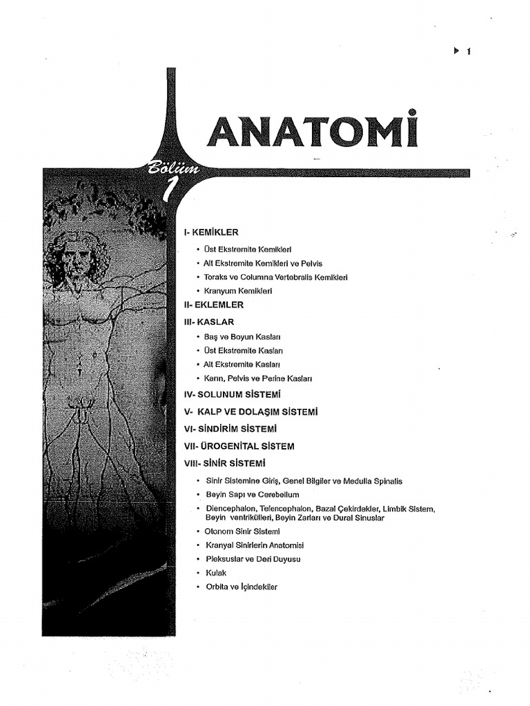 Anatomi 20 Pdf