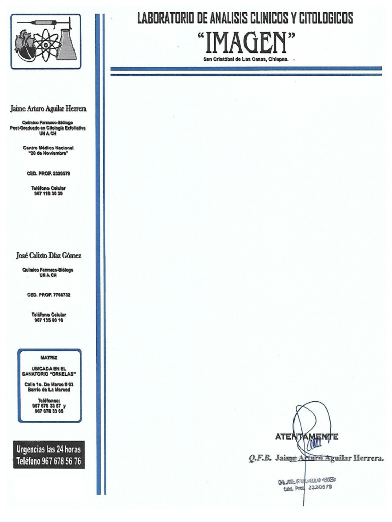 Reporte Lab Blanco | PDF