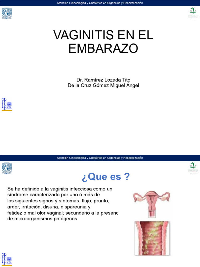 Vaginitis y ETS en Embarazo: Diagnóstico y Tratamiento | PDF | Medicina ...