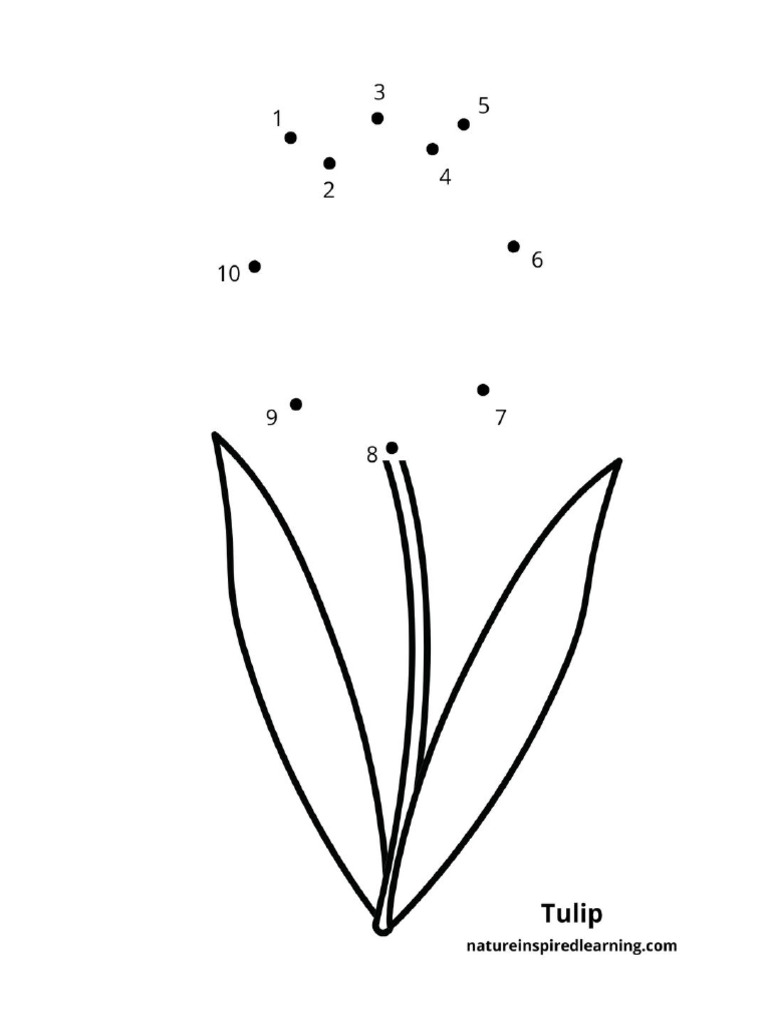 Flower Dot To Dot 1 10 Natureinspiredlearning 1 | PDF