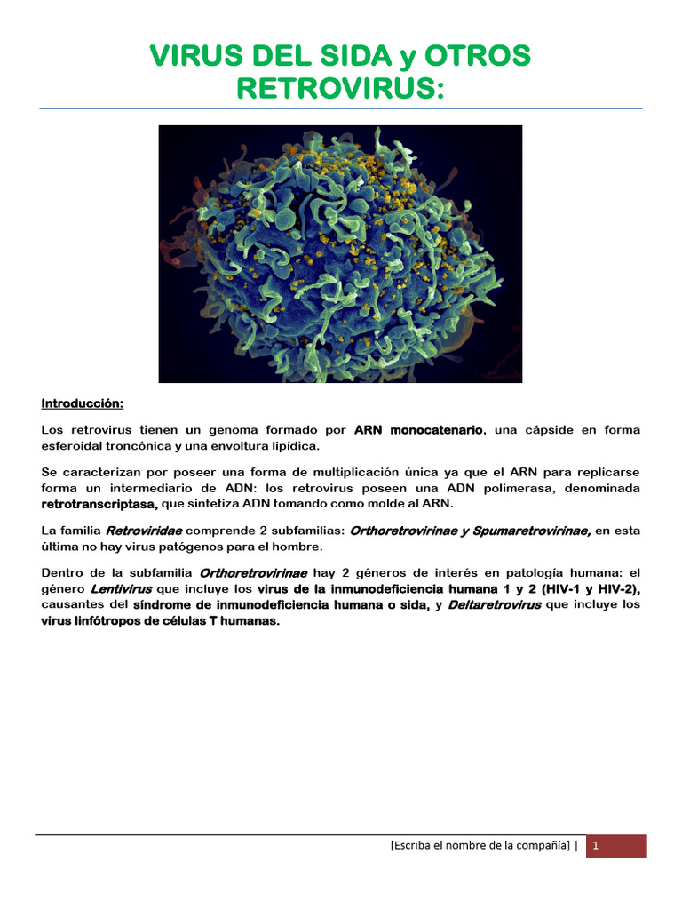 Virus de La Inmunodeficiencia Humana y SIDA | PDF | VIH | Retrovirus
