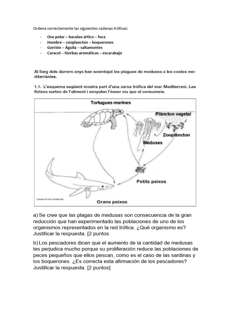 Ejercicios Cadenas Tr ficas PDF