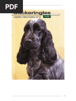 Morfología del perro: Graioides y Occipucio | PDF | Diente | Pastor alemán