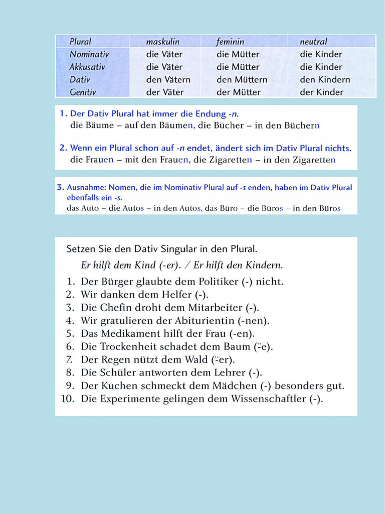 Plural und Dativ | PDF