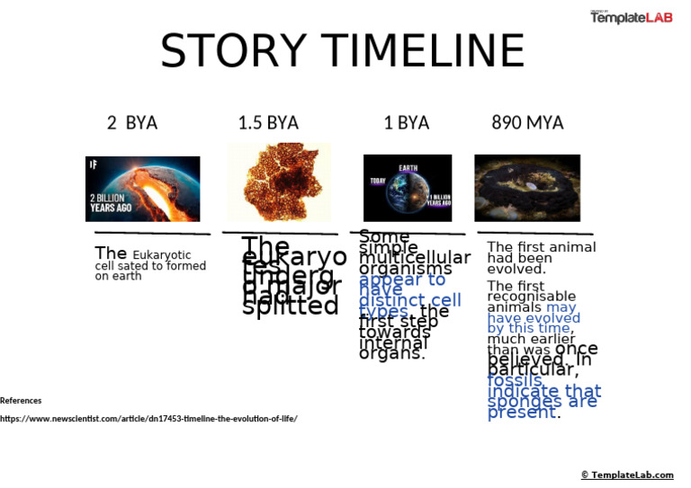 Erica Shepard Timeline 8B | PDF