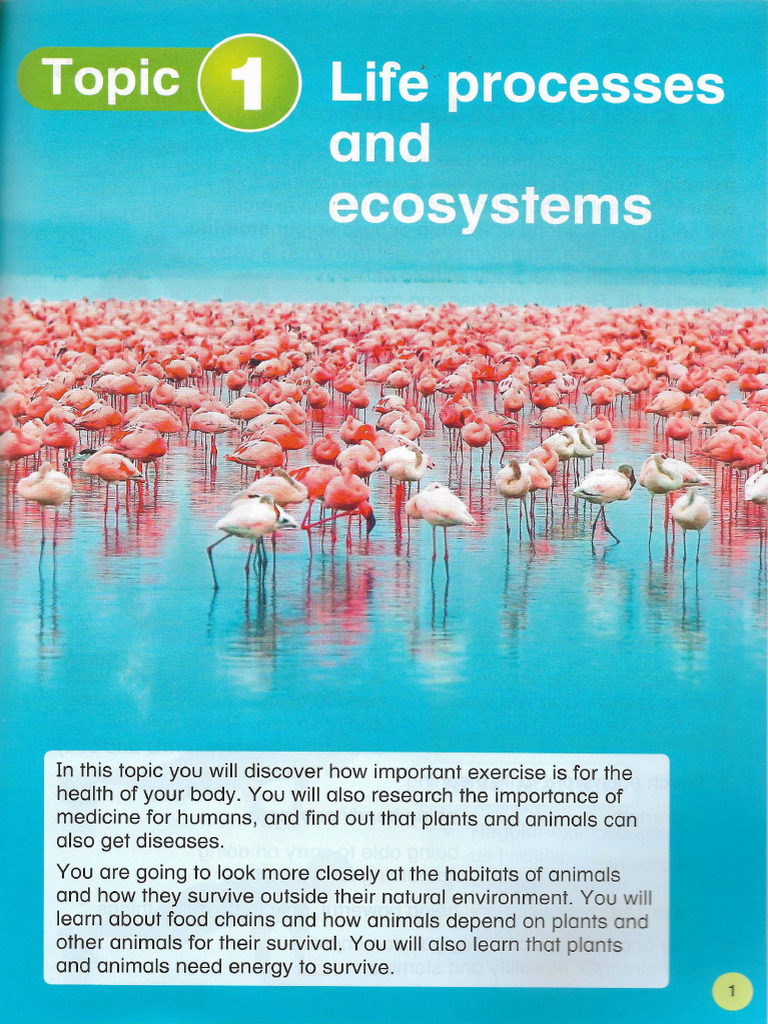 01 Life Processes and Ecosystems | PDF