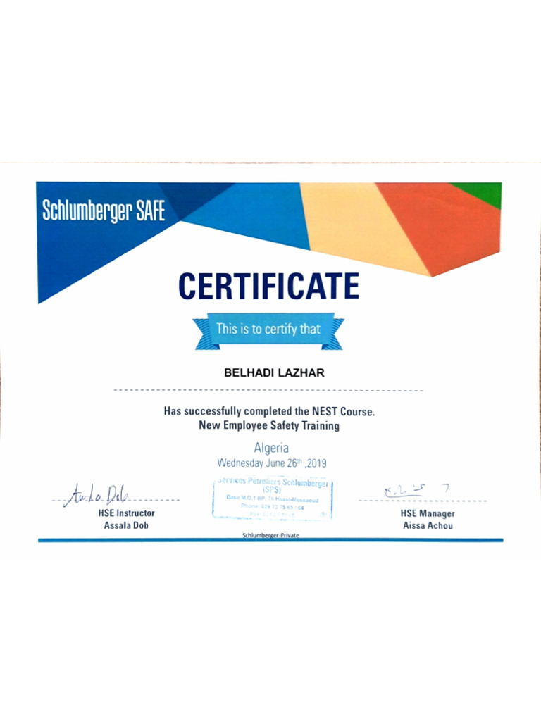 Certificate of (NEST SLB 2019) | PDF