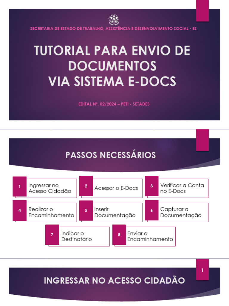 Envio de Documentos no E-DOCS | PDF