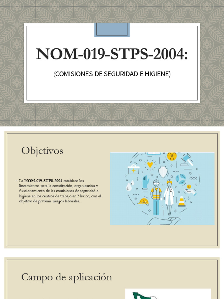 Nom 019 STPS 2004 | PDF | Higiene