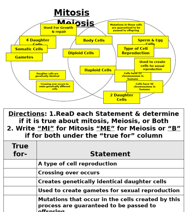 Mitosis vs Meiosis Venn-Diagram - Canvas | PDF