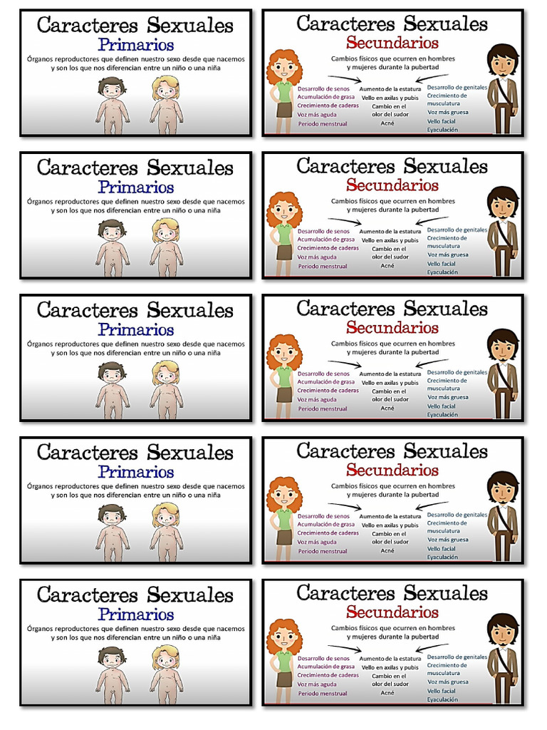 CARACTERES SEXUALES - SISTEMA REPRODUCTOR | PDF