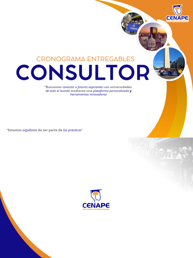 Cronograma Entregables Consultor | PDF
