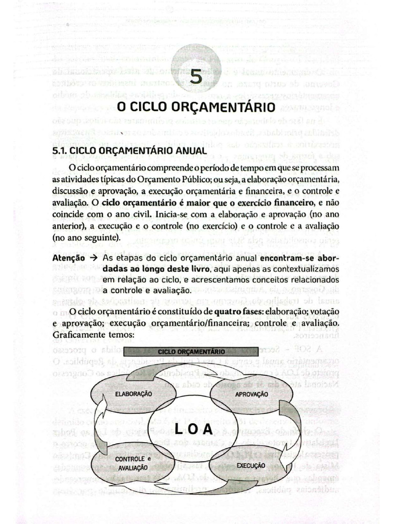 Capítulo 5 AFO | PDF