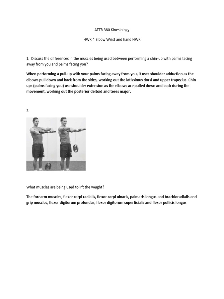 HWK 4 Elbow Wrist Hand | PDF
