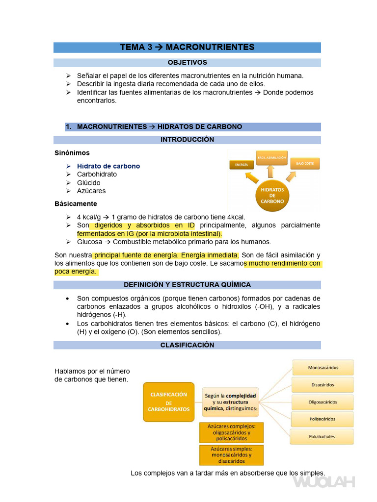 Tema NUTRI 3 | PDF | Carbohidratos | Ácido graso