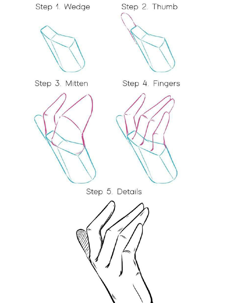 Hands References For Artists | PDF